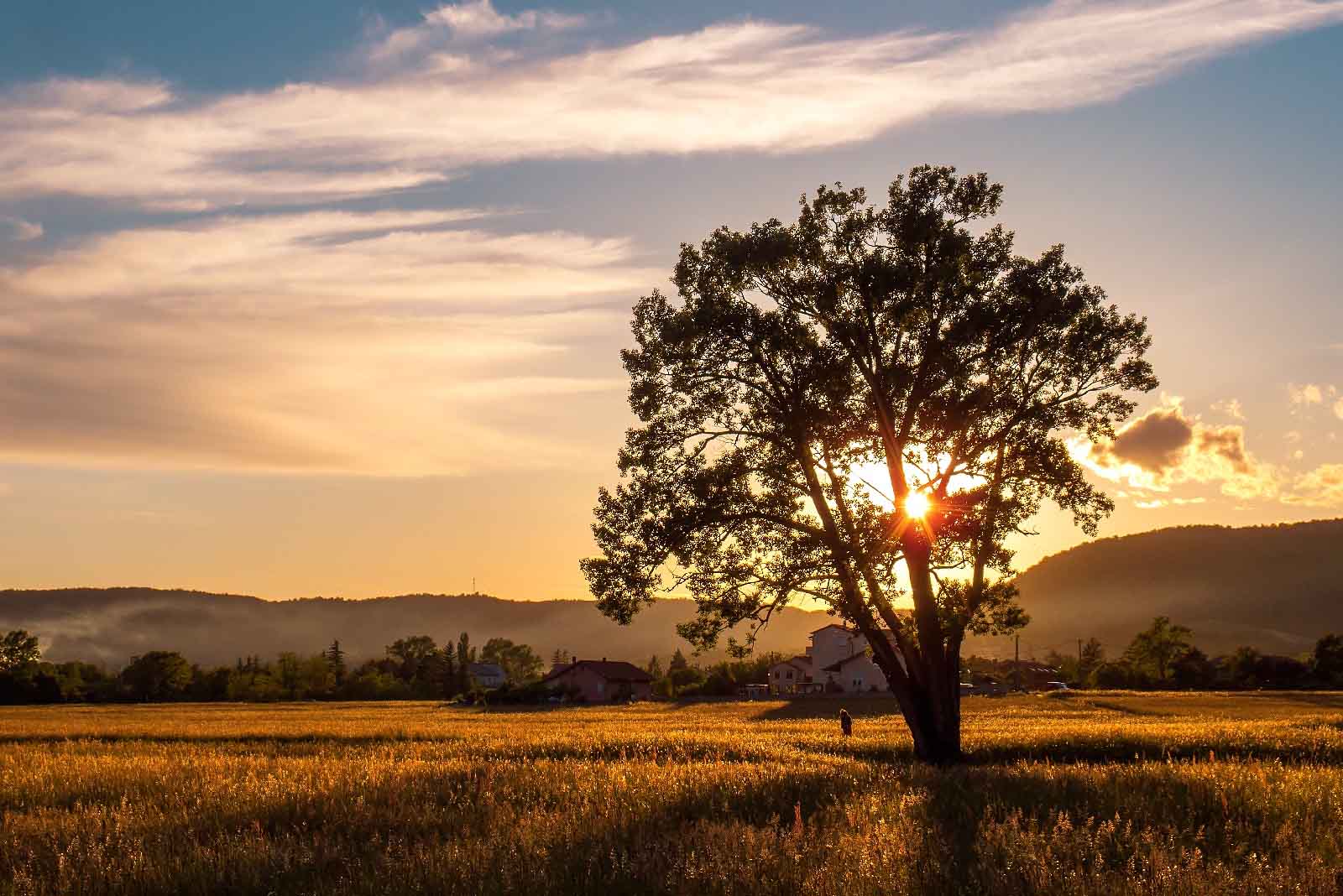 Pejzažne fotografije Dejana Bana u Erste Clubu | Akademija Art Zagreb