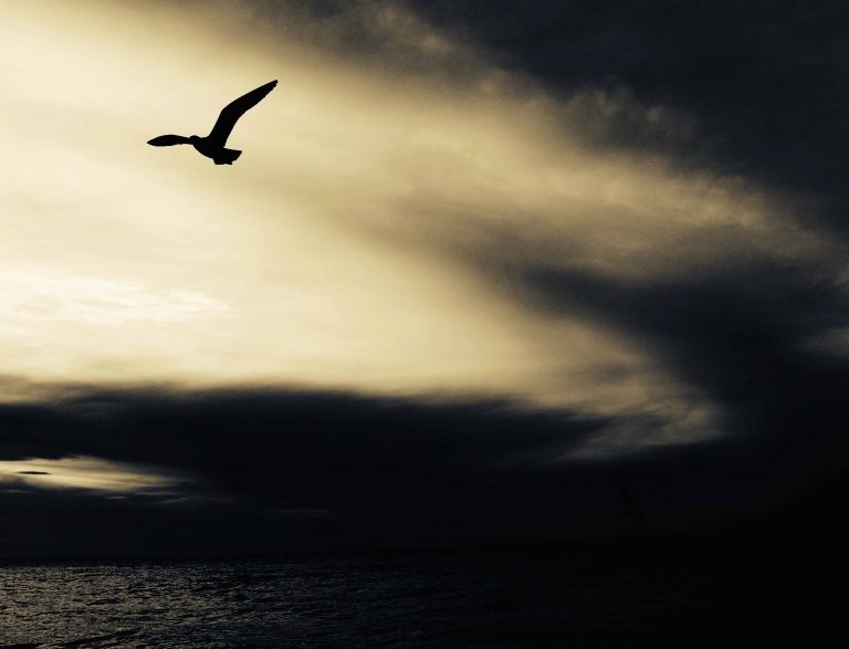 Opraštanje sebi i drugima dobro je za duševno zdravlje • Akademija Art ...