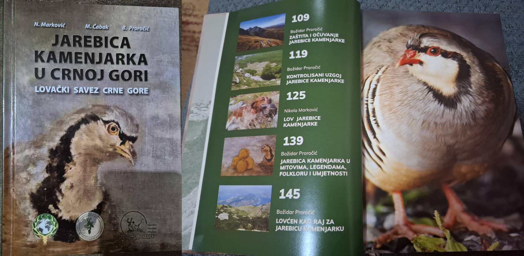 JAREBICA KAMENJARKA SIMBOL PLANINA CRNE GORE I NOVA MISIJA NJENOG ...